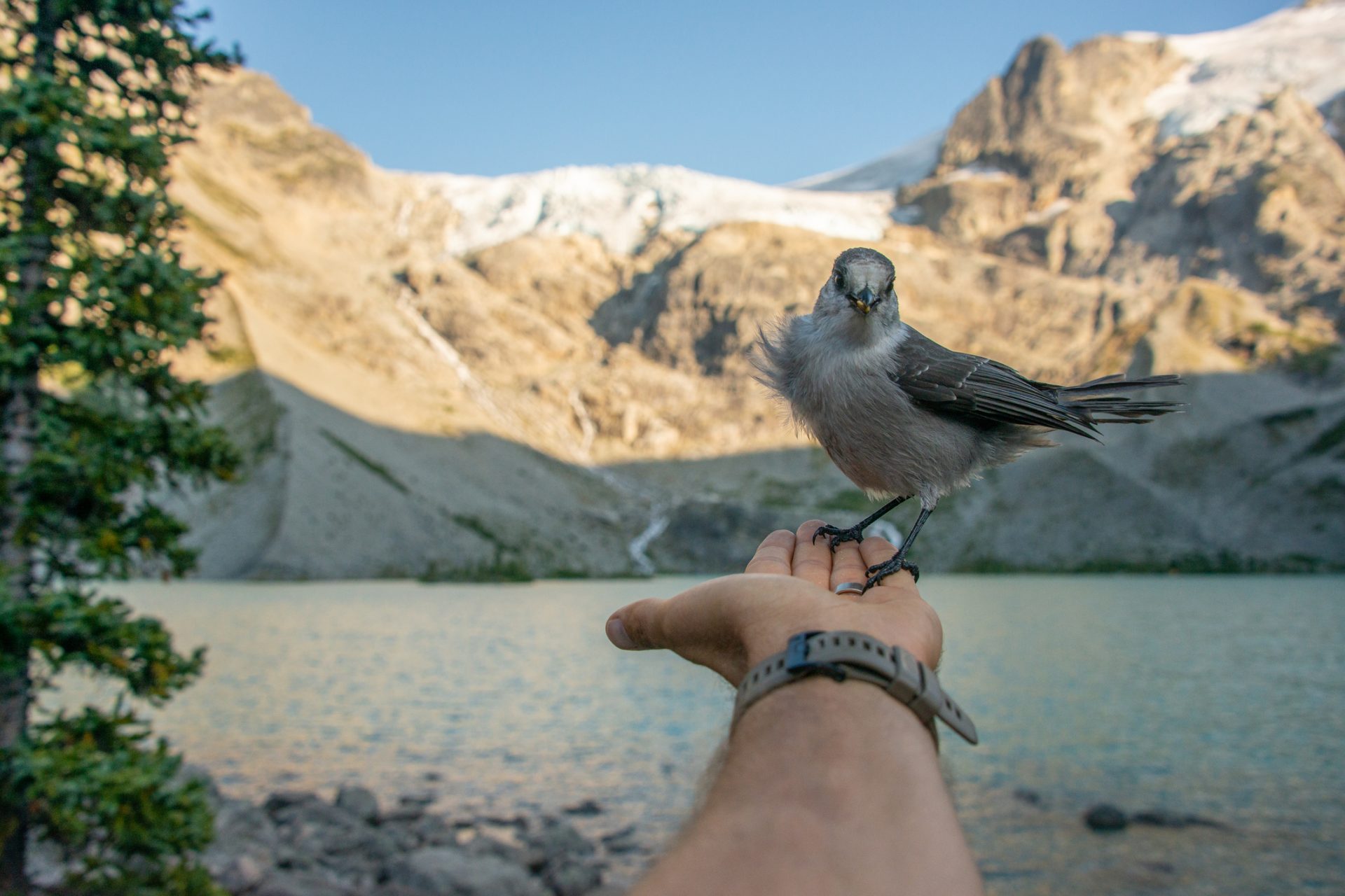 A lake in Canada can explain how life on Earth began
