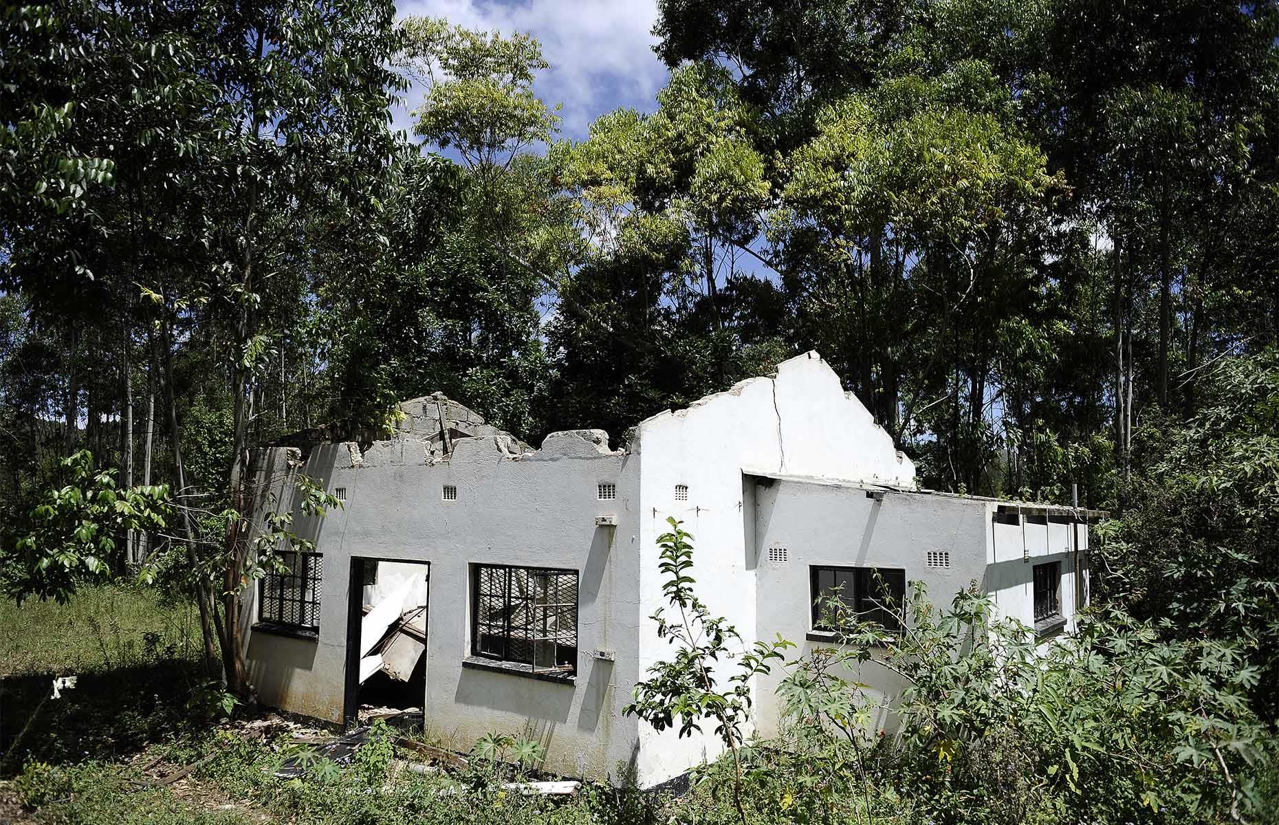 Bio-Inspired Brilliance: 15 Times Nature Helped Humans Build Better ...