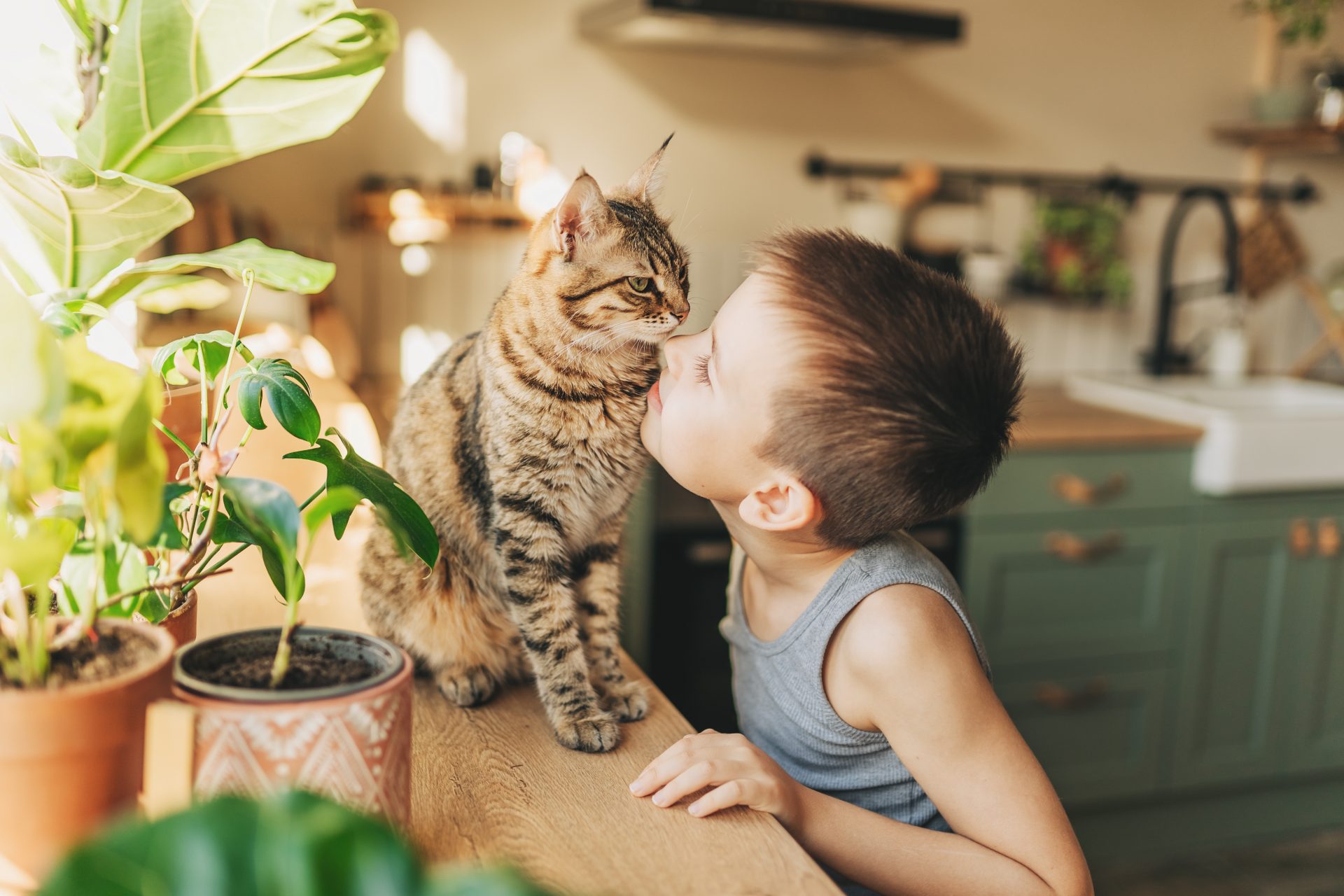 5 signs to see if your cat loves you