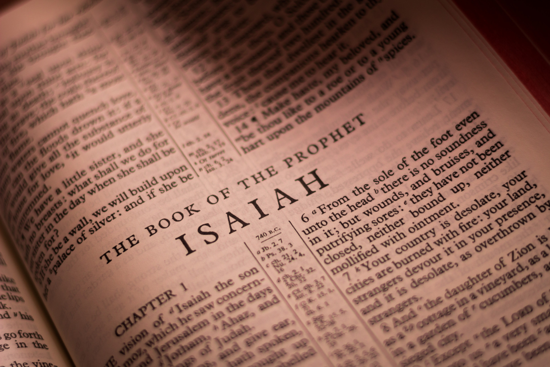 Brewster Rockit by Tim Rickard