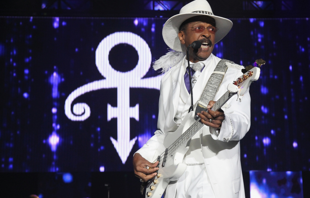 25 Groundbreaking Bassists Who Redefined Music Genres