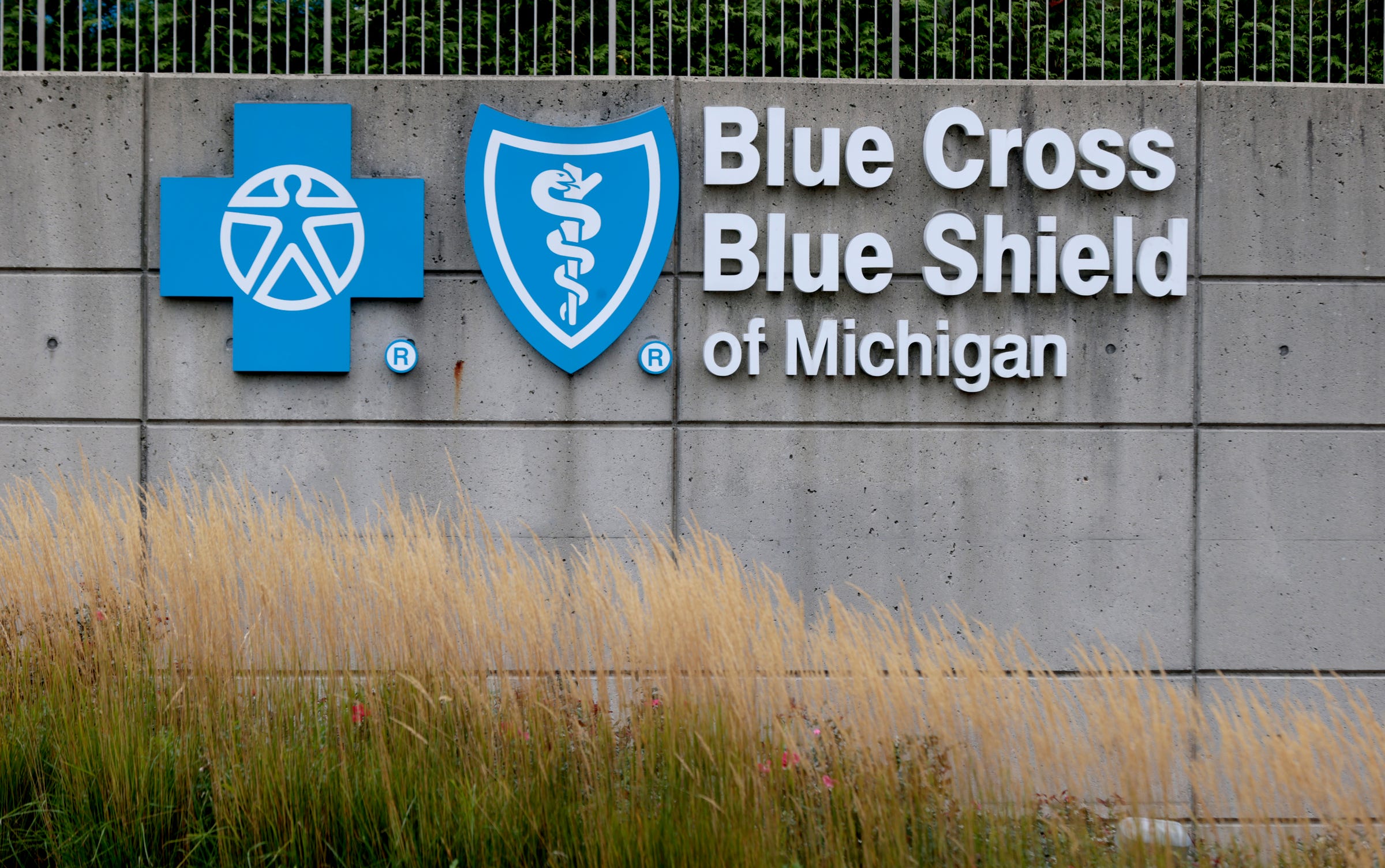 Outgoing Blue Cross CEO took pay cut as health insurer saw big ...