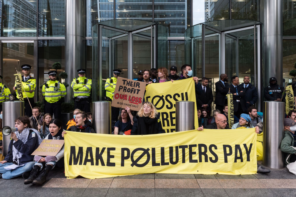 Environmental activists may actually be risking their lives