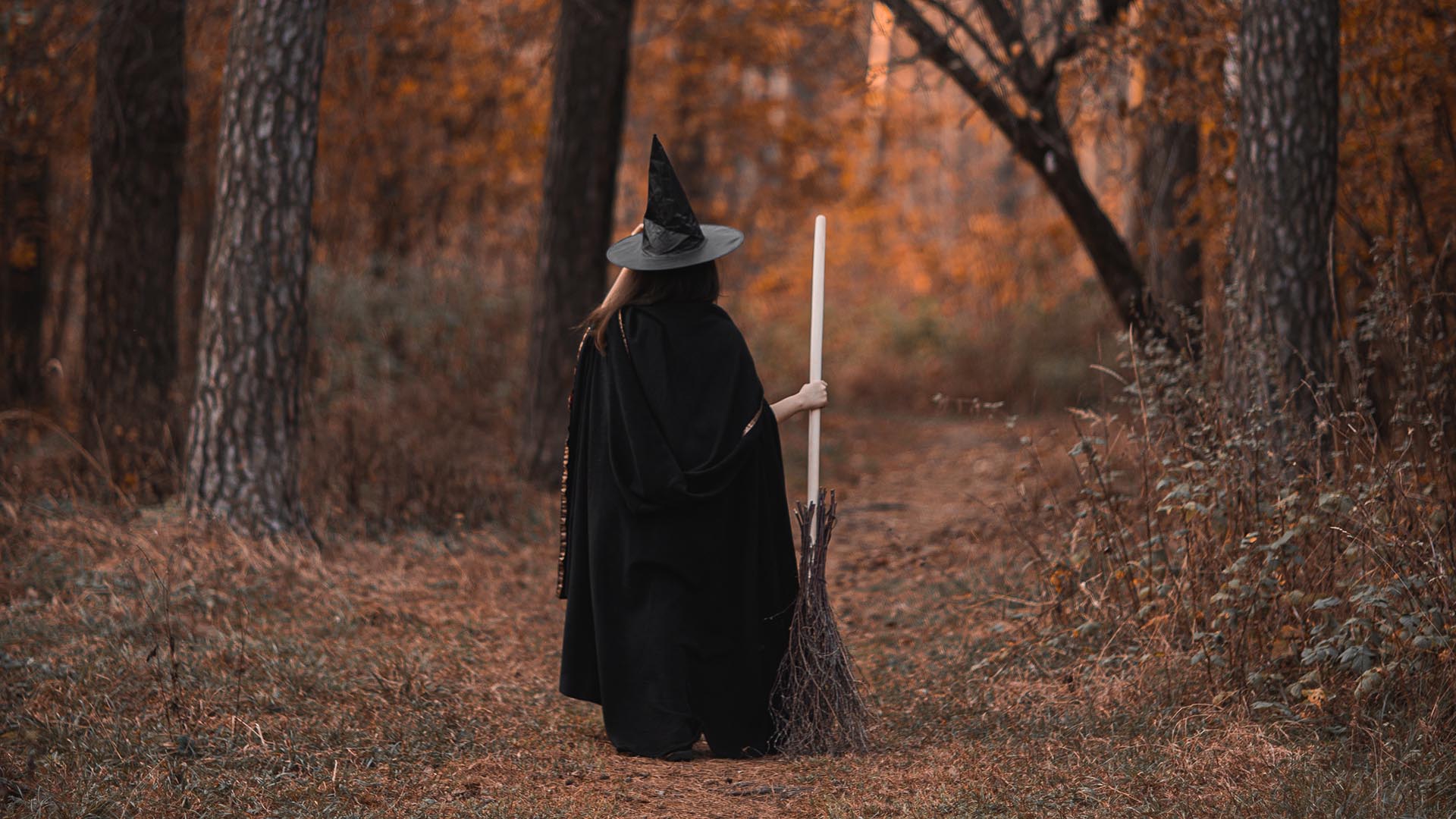 Legends and curious facts about witches