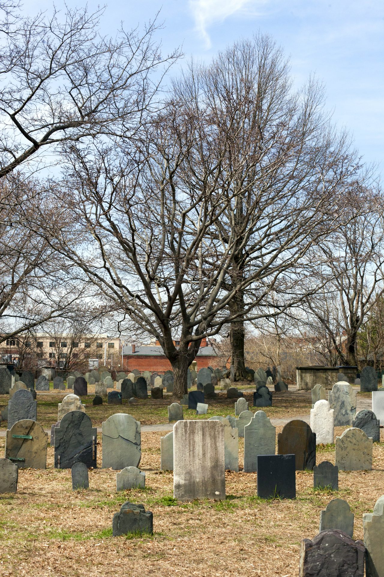 Legends and curious facts about witches