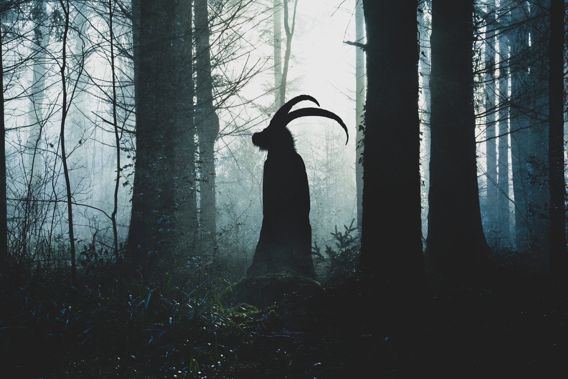 Enjoy Halloween with the best horror movies of the 21st century