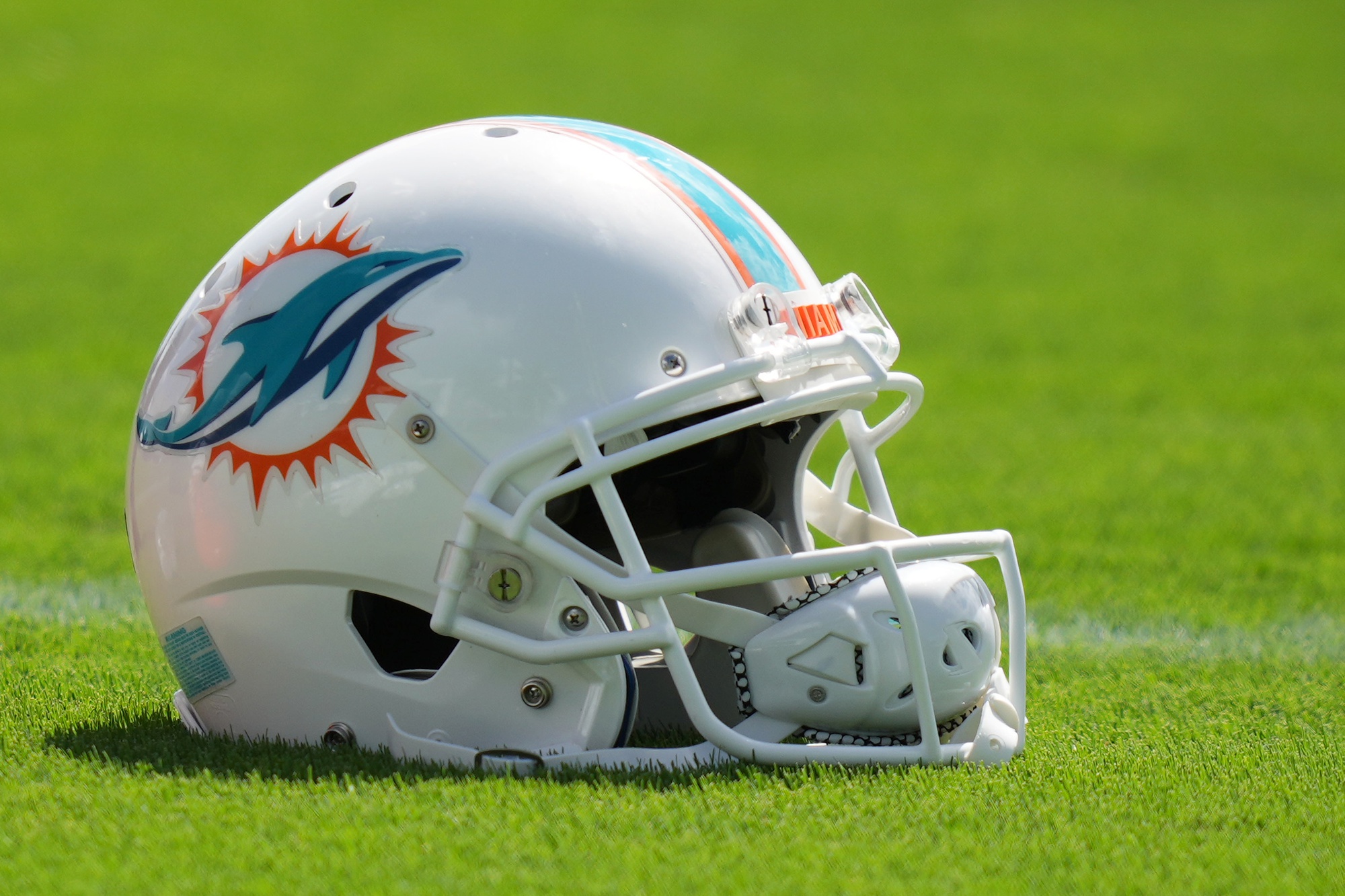 Dolphins lose quarterback again