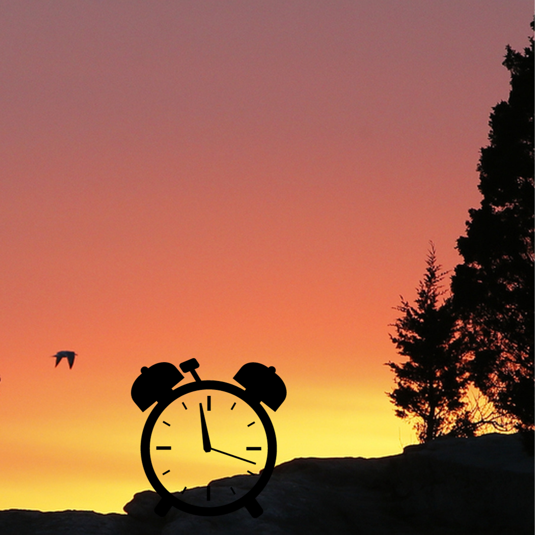 When do the clocks fall back an hour? Daylight saving time end 2025 ...