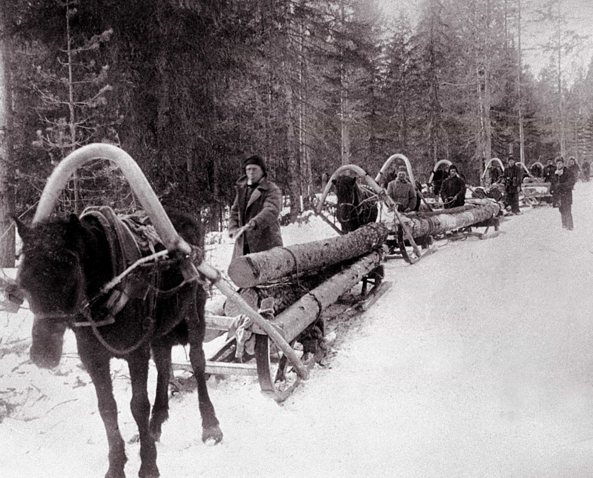 The truth about the Russian gulag