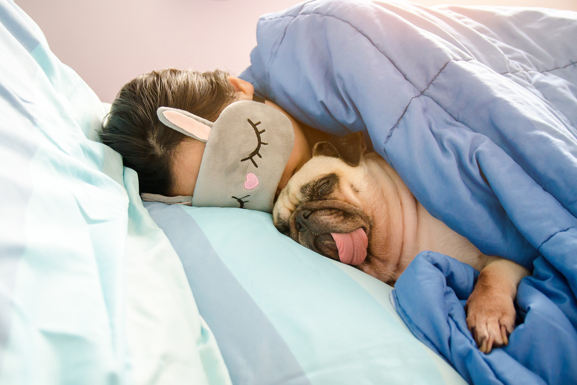 Why women sleep better with dogs than a partner