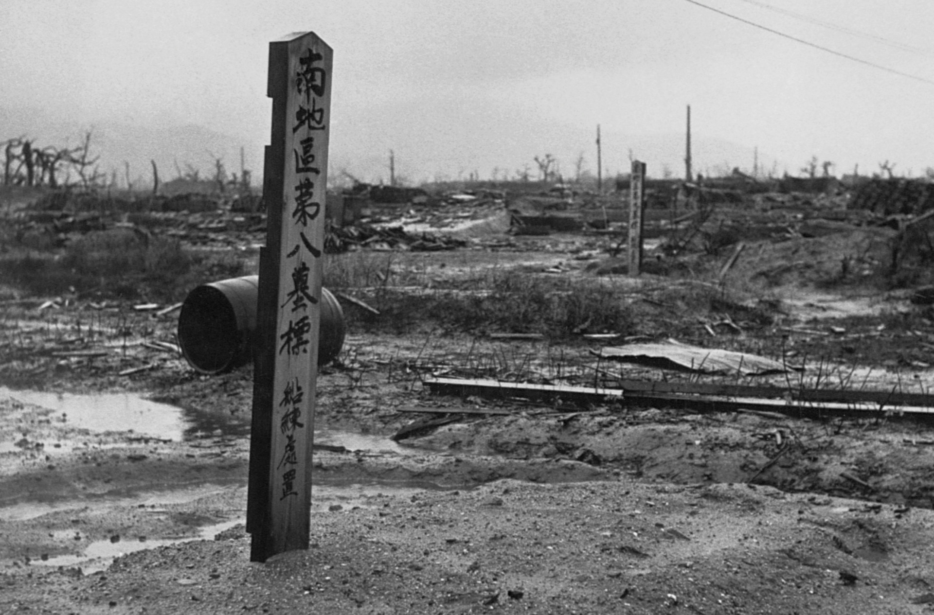 The dreadful effects of acute radiation syndrome