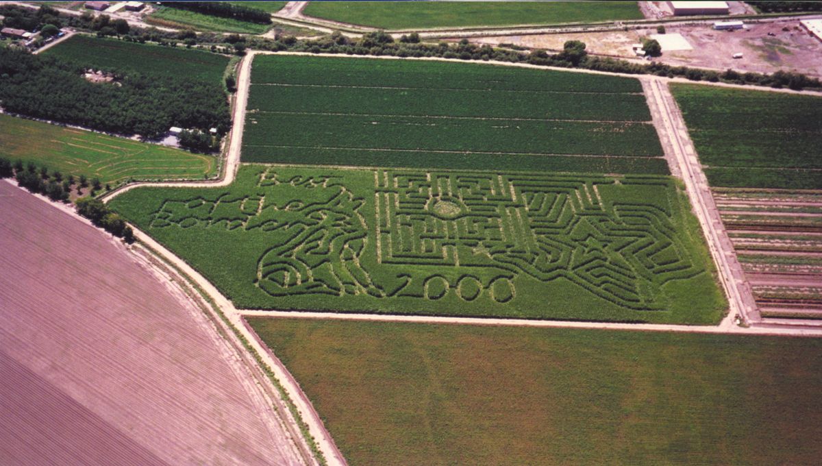 The Most Mesmerizing Corn Maze Designs Of All Time