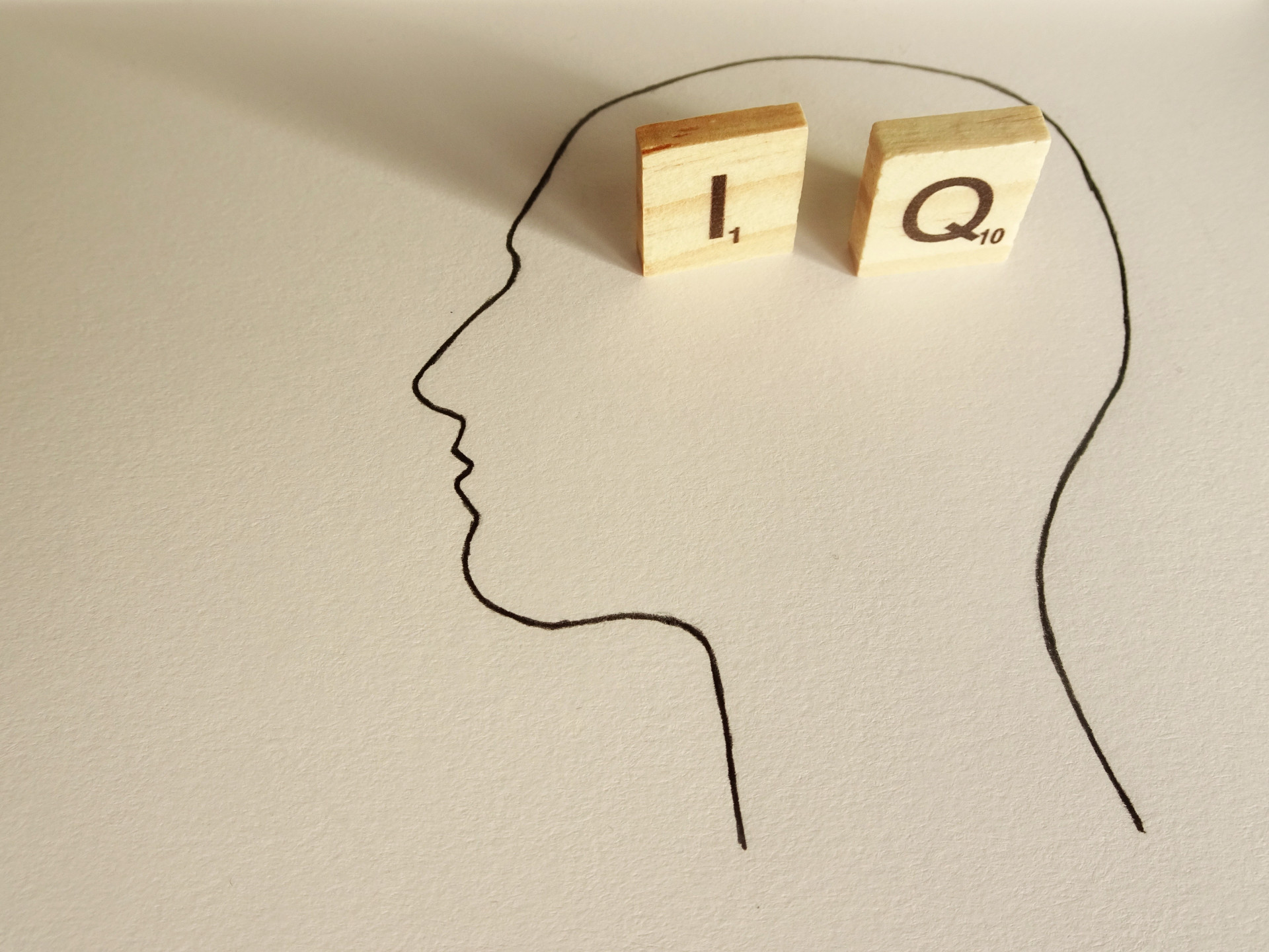 Why the human brain has shrunk