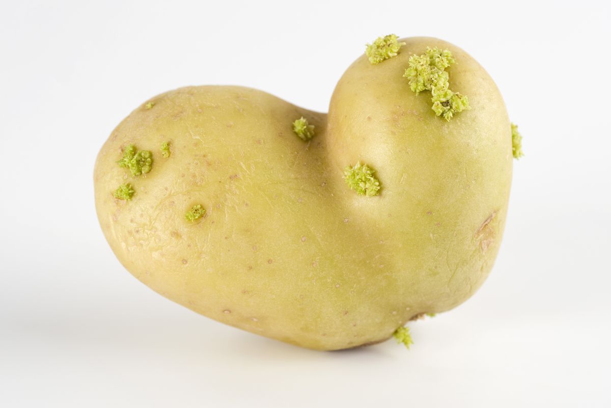 Sprouted Potatoes Are Actually Toxic—What To Know Before Eating Them