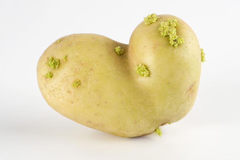 Sprouted Potatoes Are Actually Toxic—What To Know Before Eating Them