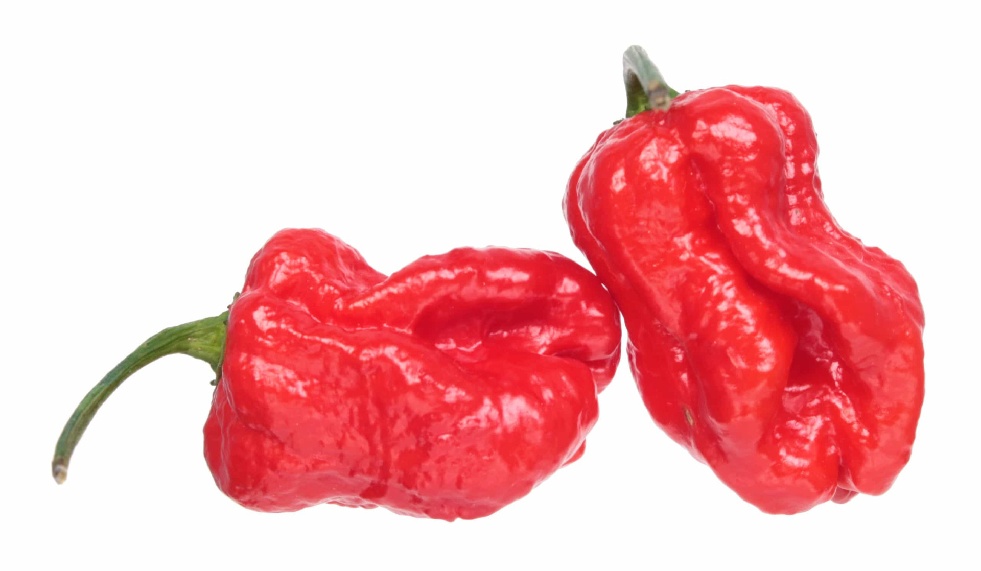 The world’s hottest peppers, and where to eat them