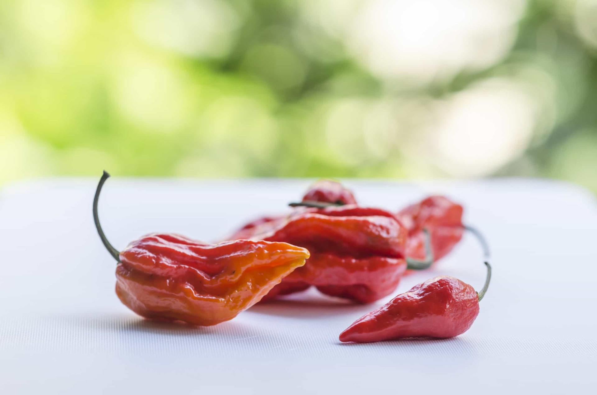 The world’s hottest peppers, and where to eat them