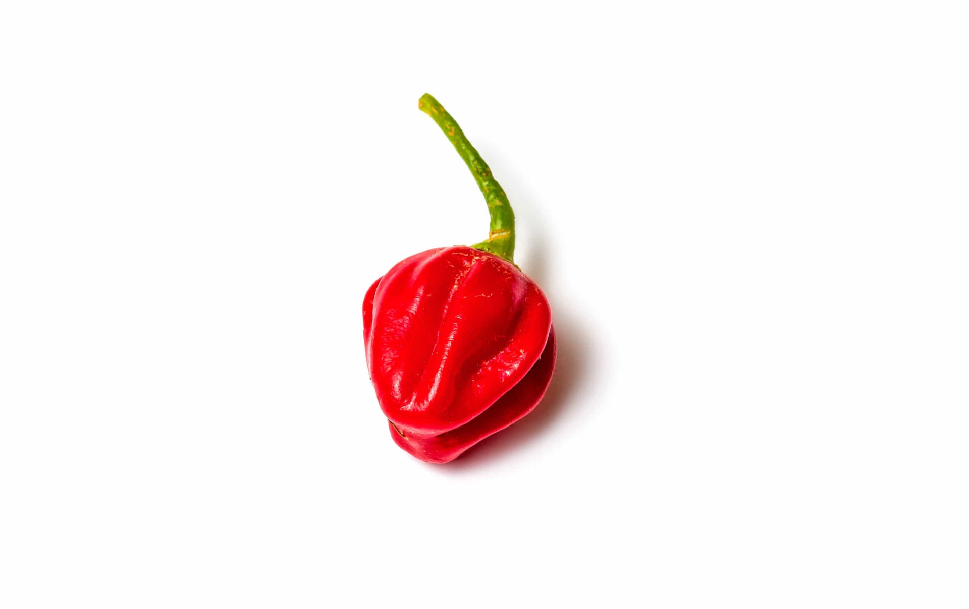The world’s hottest peppers, and where to eat them