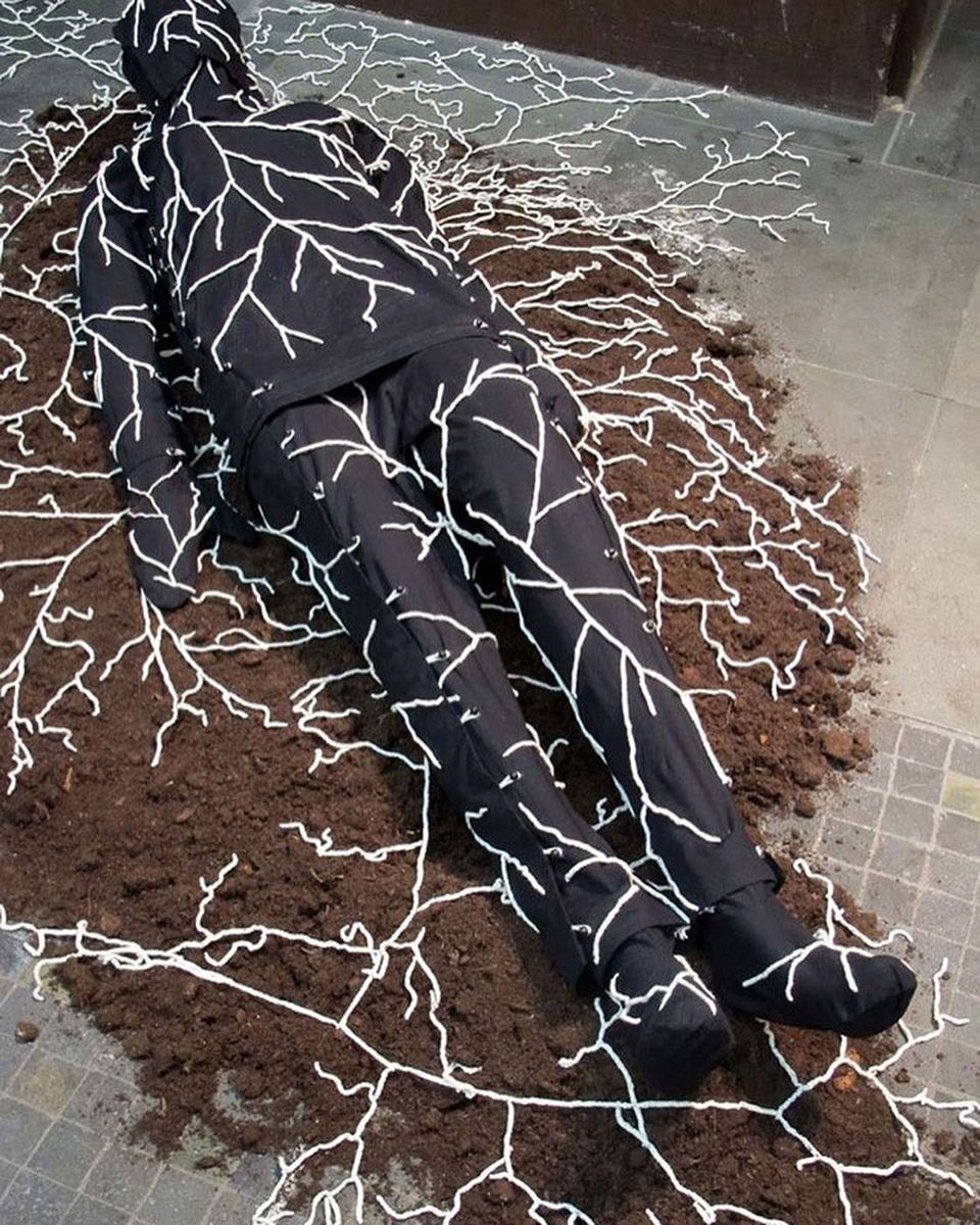 After death: What are the burial alternatives to rest in peace?