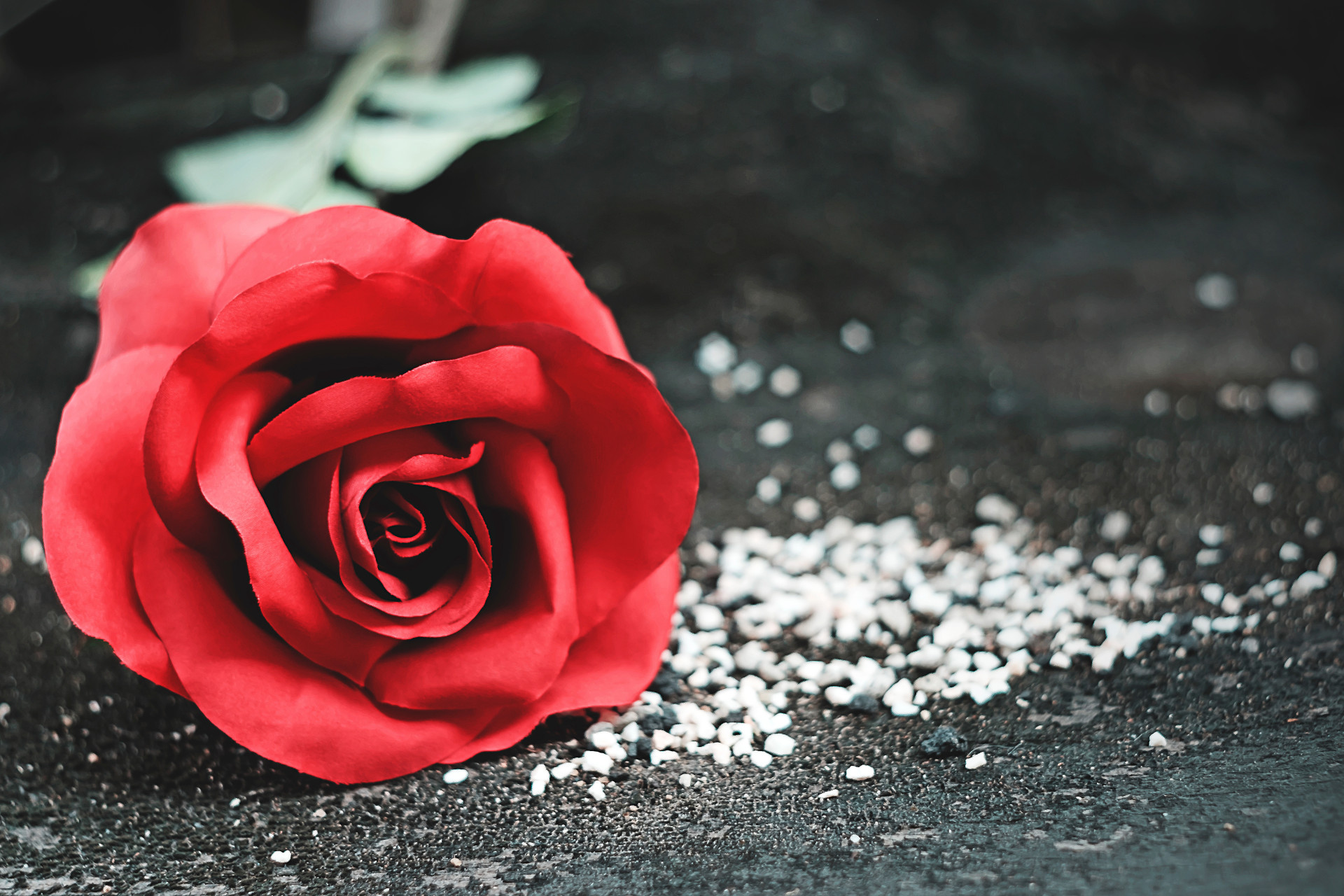 Buried alive? The dangers of catalepsy