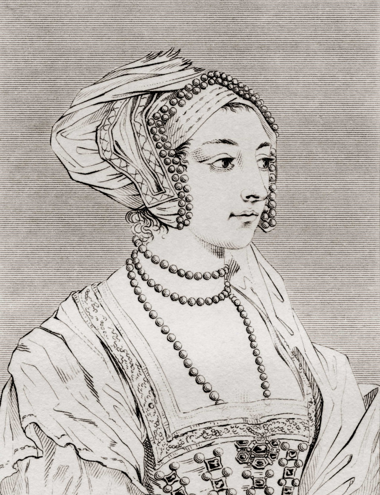 Zoolies by Jonny Hawkins