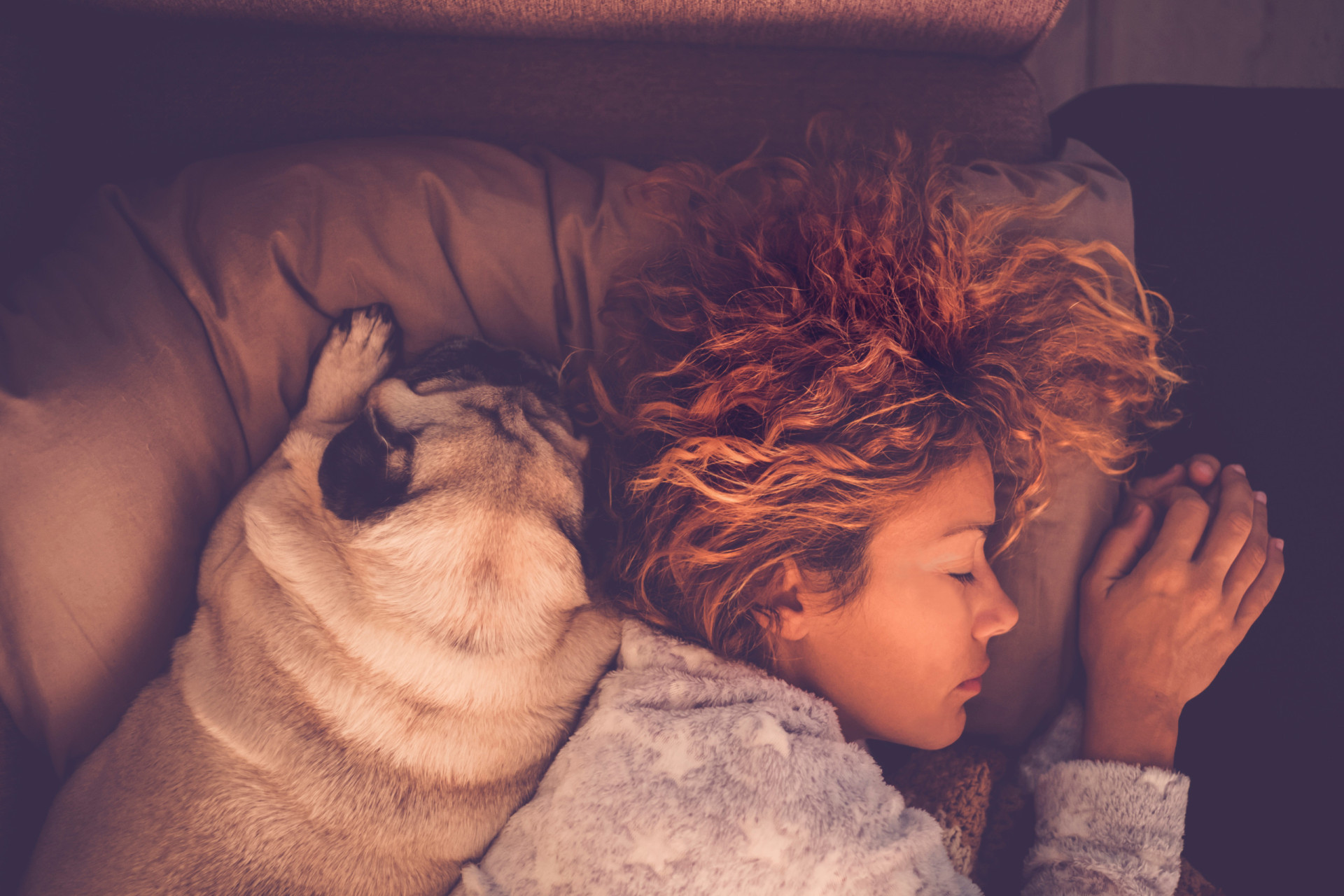 Derfor sover kvinder bedre med en hund end en partner