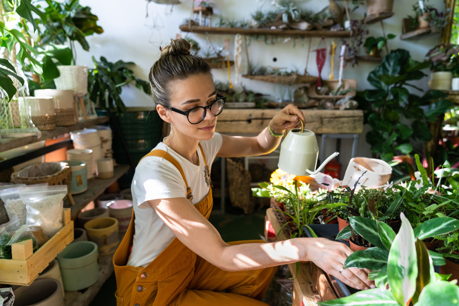 How to keep your plants alive when you're away