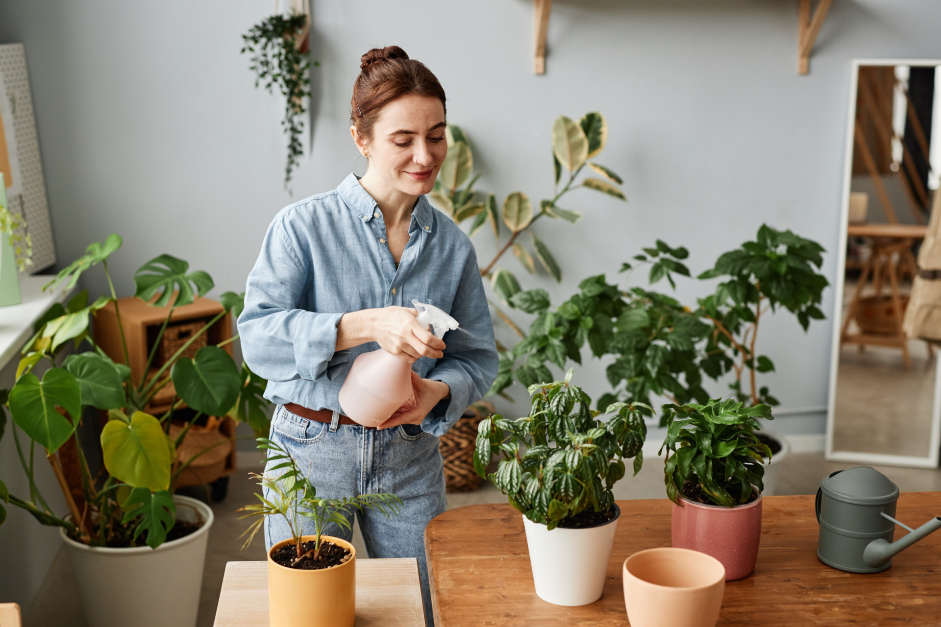 How to keep your plants alive when you're away