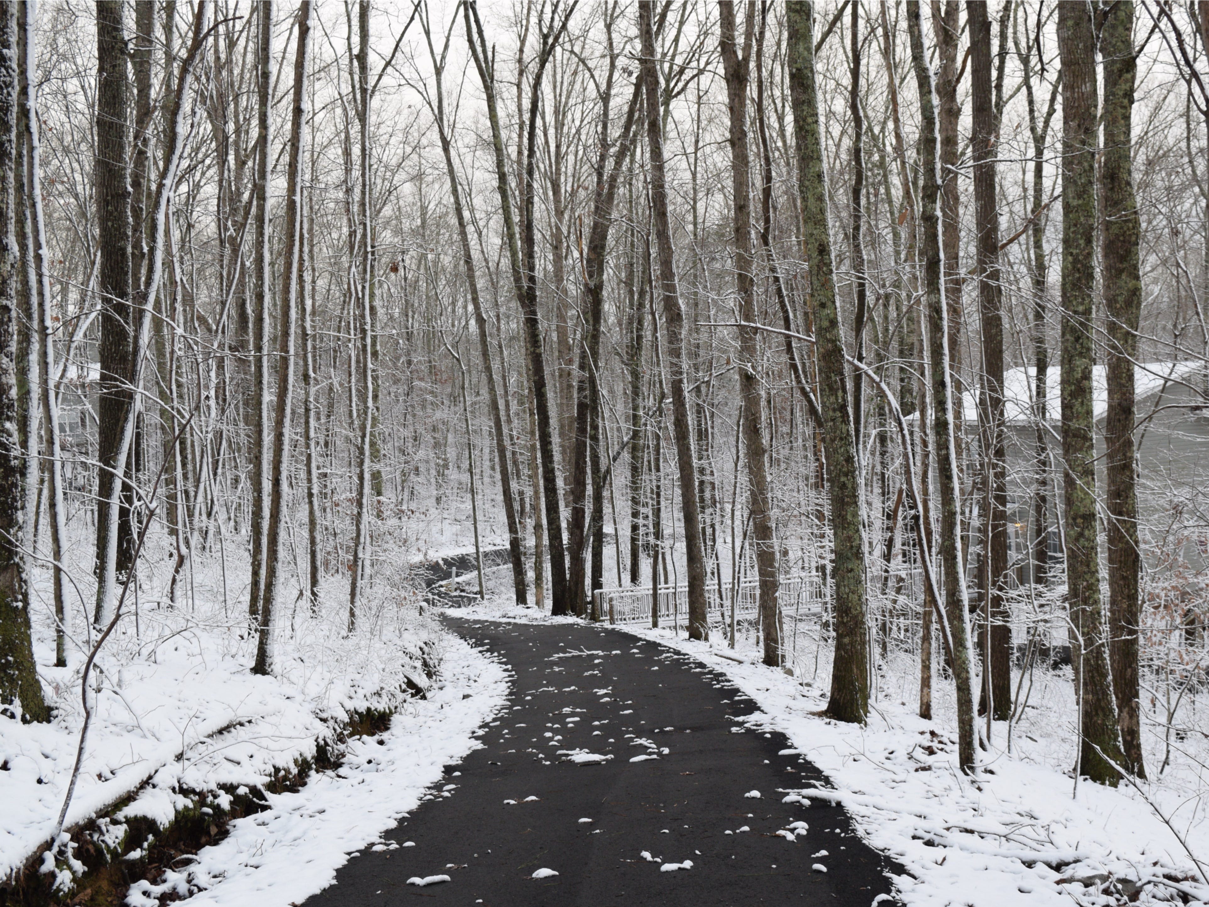 The coldest temperature ever recorded in every state