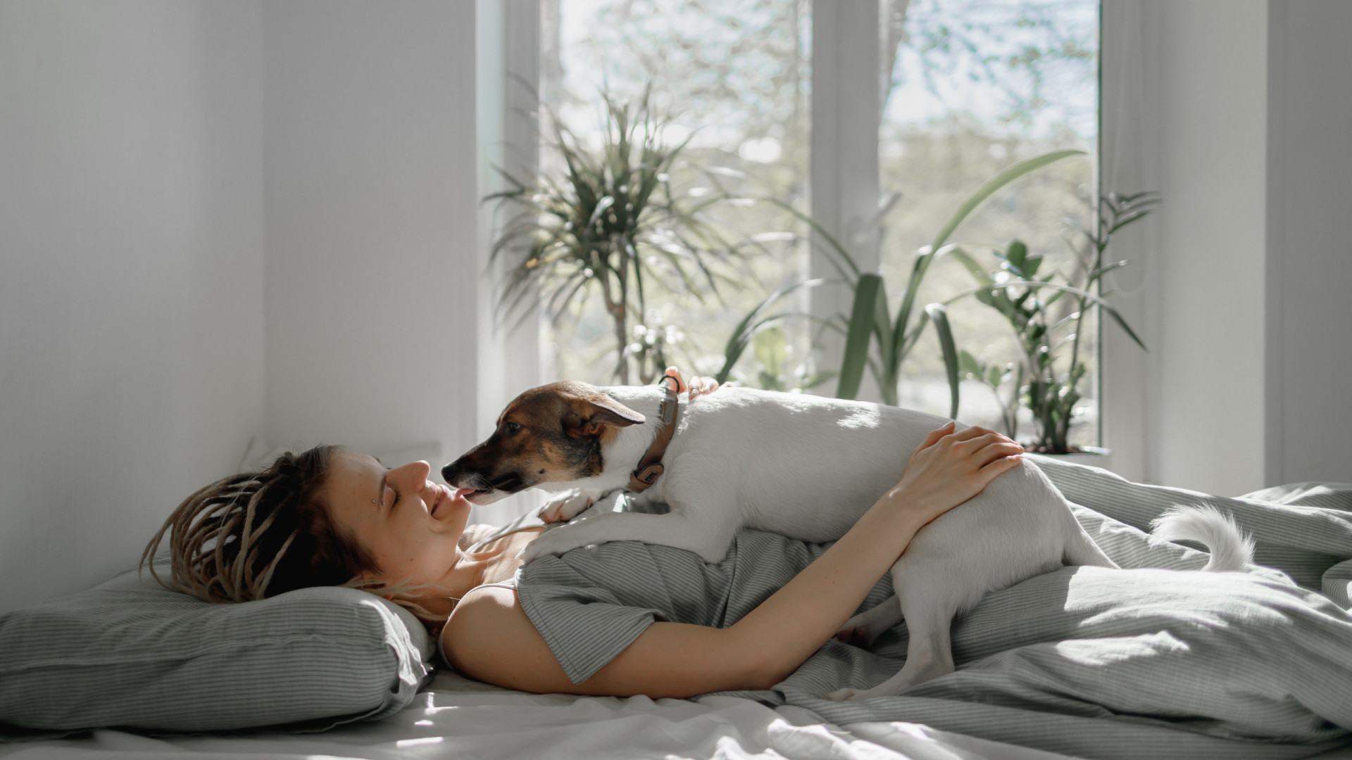 Hvorfor kvinner sover bedre sammen med hunder enn en partner