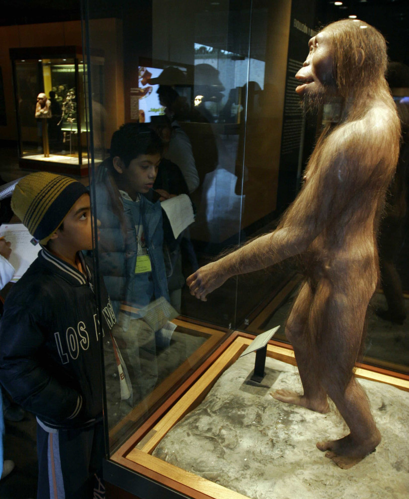 Extinct human species: how different were they from us?