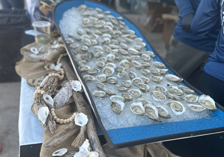 Planning the best Gulf Shores family travel in the spring