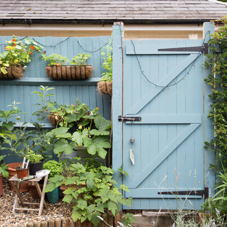 How to use old towels in the garden — 6 creative ways to protect your ...