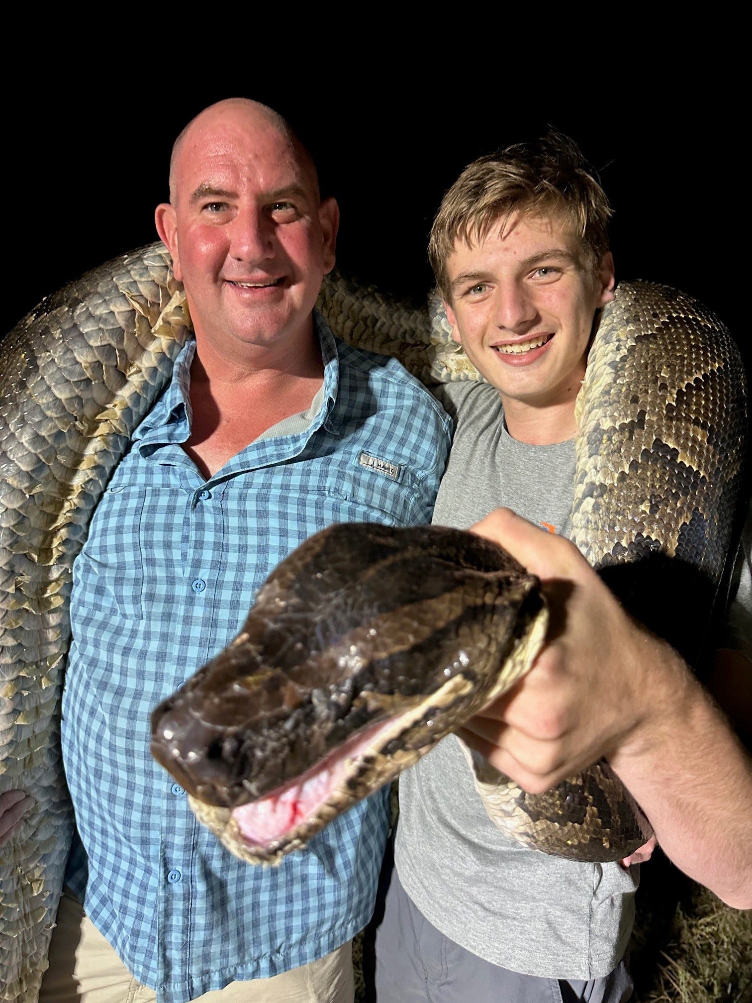Burmese pythons in Florida: What to do if you catch one, how much state ...