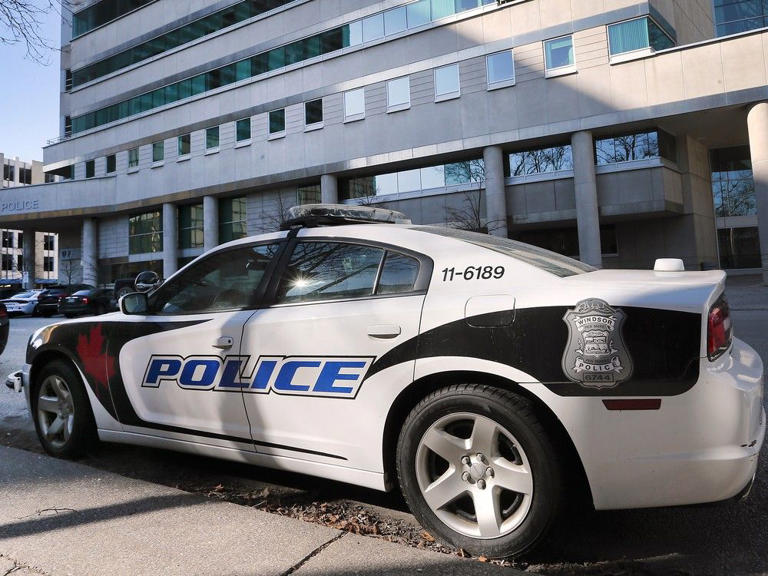 Woman in critical condition after being struck by vehicle crossing ...