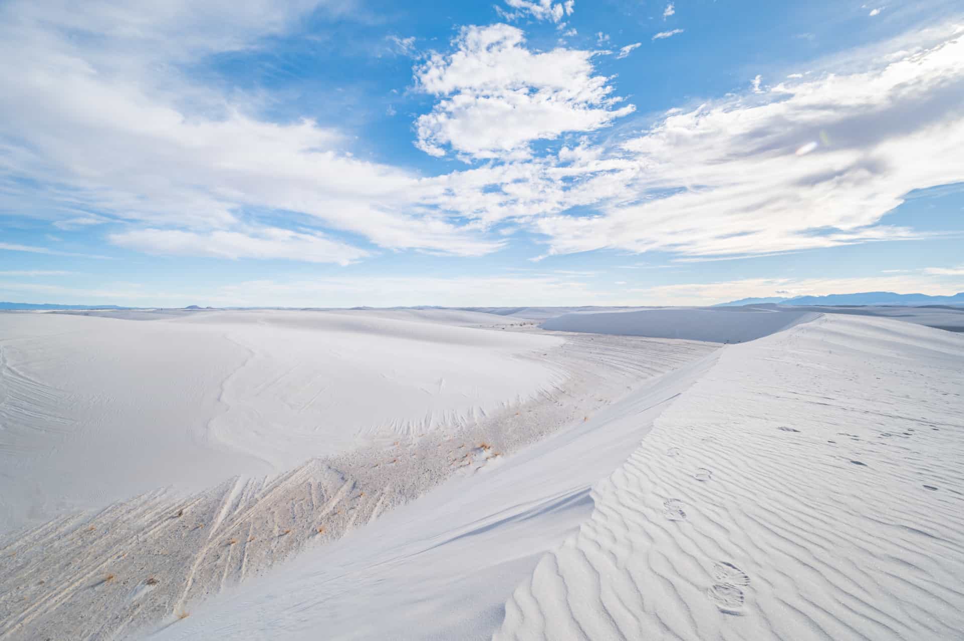 Road trip fun: Discovering hidden gems of the USA