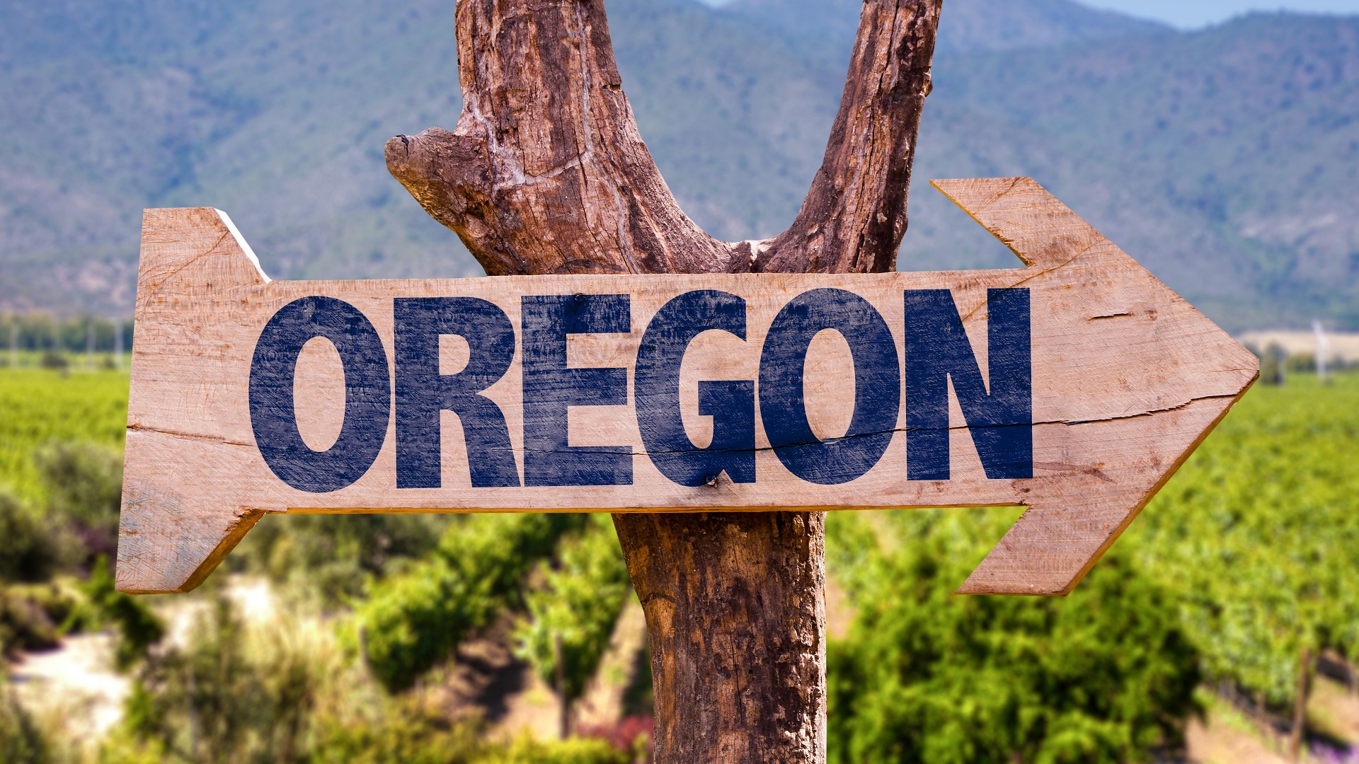 See What a $100K Salary Looks Like After Taxes in the West