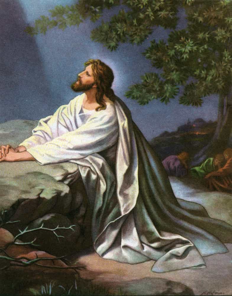 Who was Jesus Christ, really?