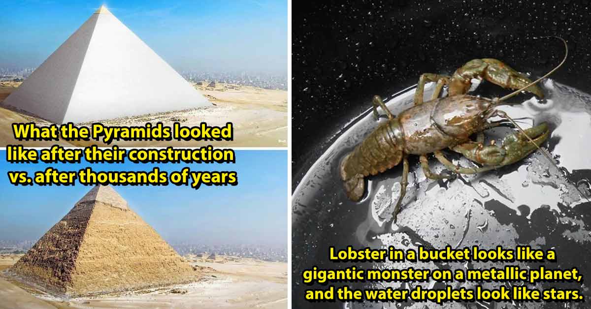 Our Amazing World: 22 Interesting Images and Fascinating Sights