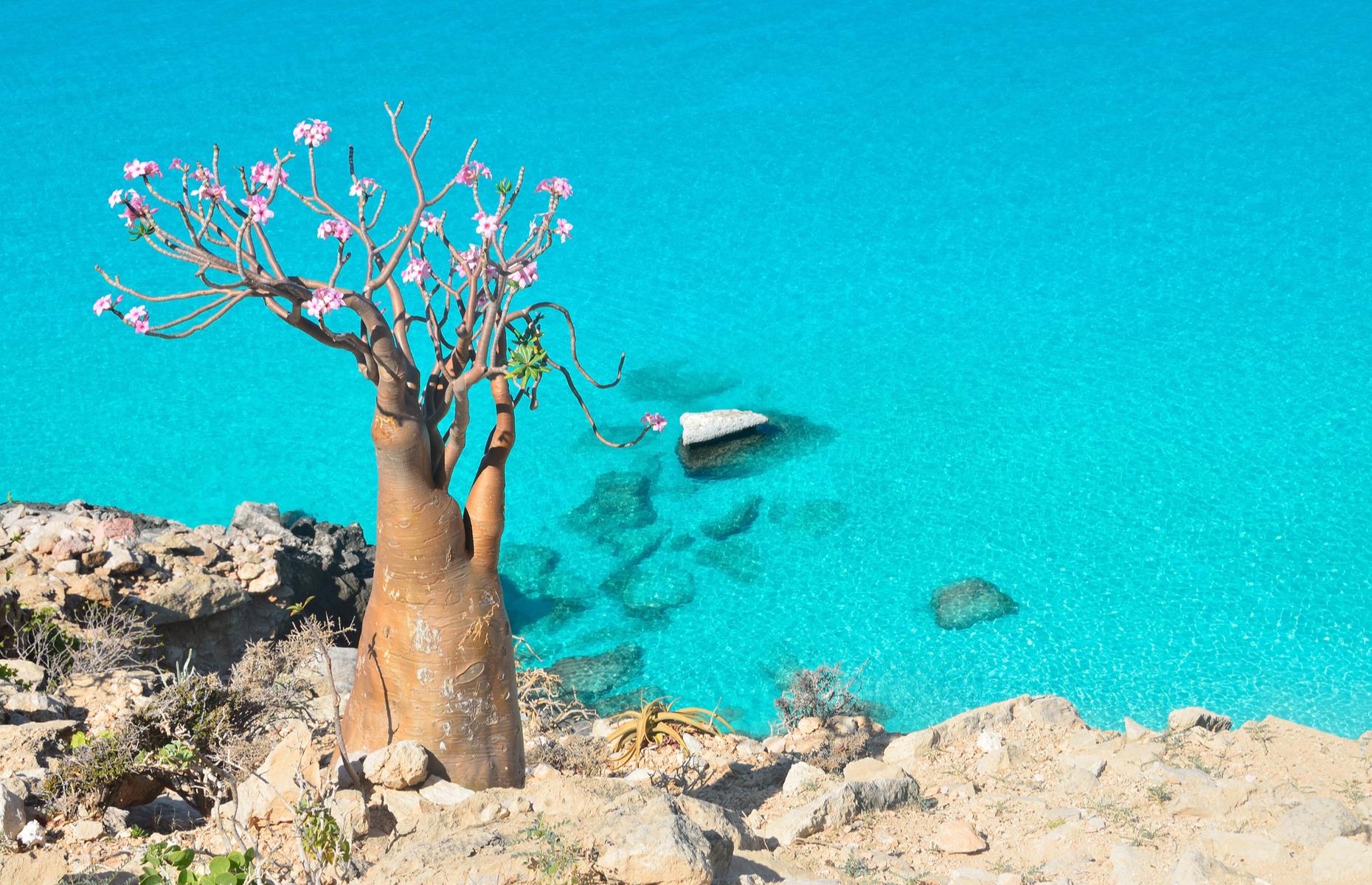 The world's most remote islands where people actually live