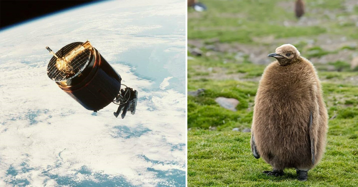 The Story Of Us: 30 Fascinating Photos to Fill Your Mind With Wonder