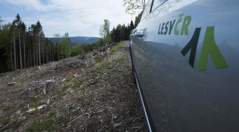 Uniles z Agrofertu nedal do pětimiliardového tendru Lesů ČR žádnou nabídku