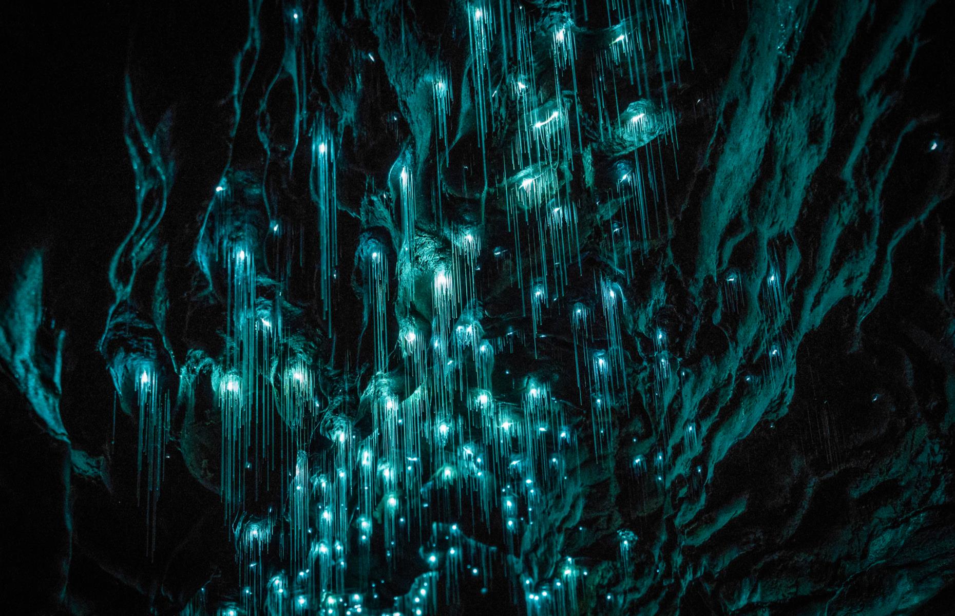 Incredible places around the world that glow in the dark