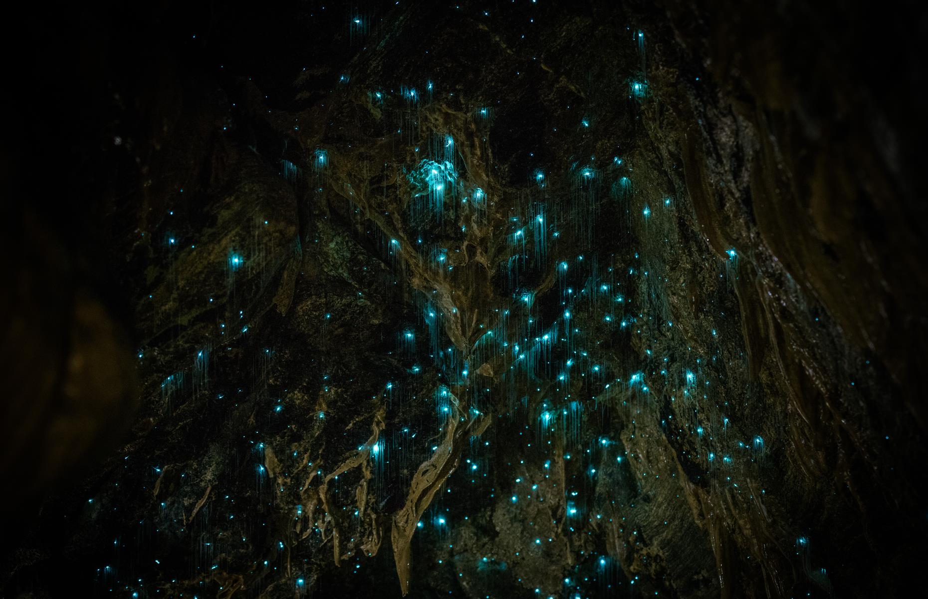 Incredible places around the world that glow in the dark
