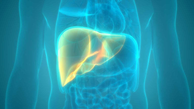 Madrigal Pharmaceuticals gains amid takeover speculation Madrigal Pharmaceuticals gains amid takeover speculation