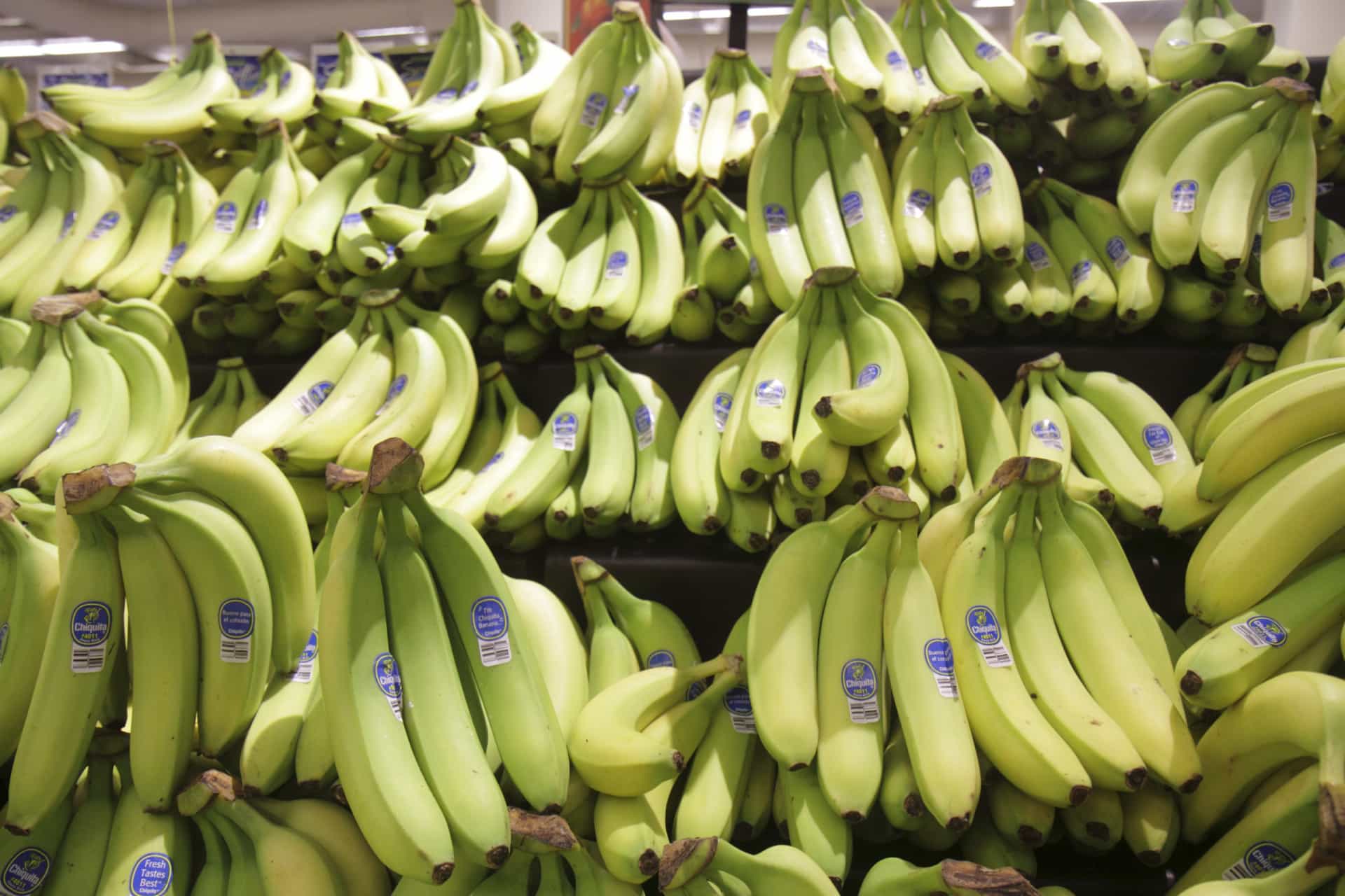 The surprisingly dark history (and doomed future) of bananas