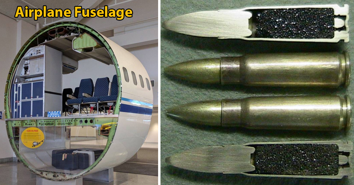 Cut in Half: 26 Photos that Show the Inner Workings of Random Things