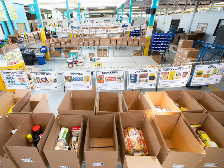 4 in 5 new food bank clients in Toronto are newcomers to Canada, new ...