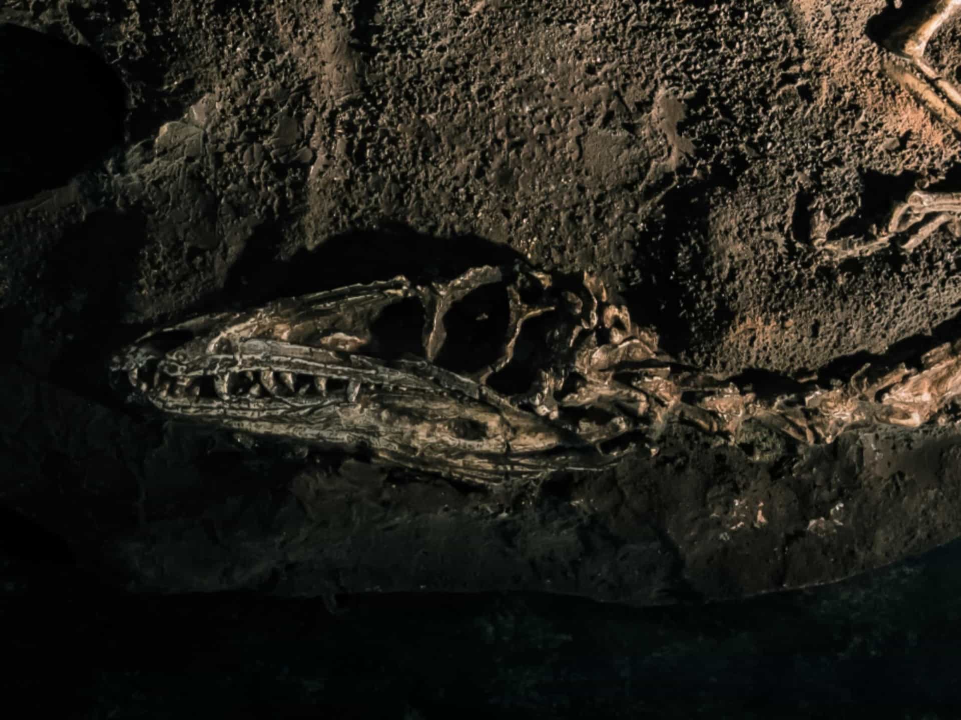 Is Nessie real? Dive into the Loch Ness Monster mystery