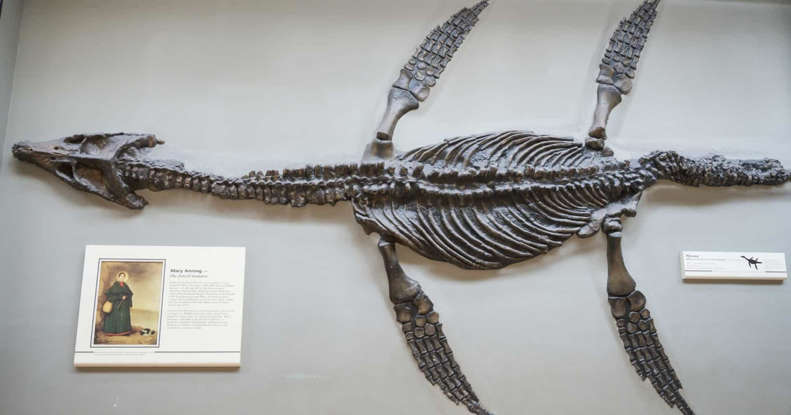 Is Nessie real? Dive into the Loch Ness Monster mystery Is Nessie real? Dive into the Loch Ness Monster mystery